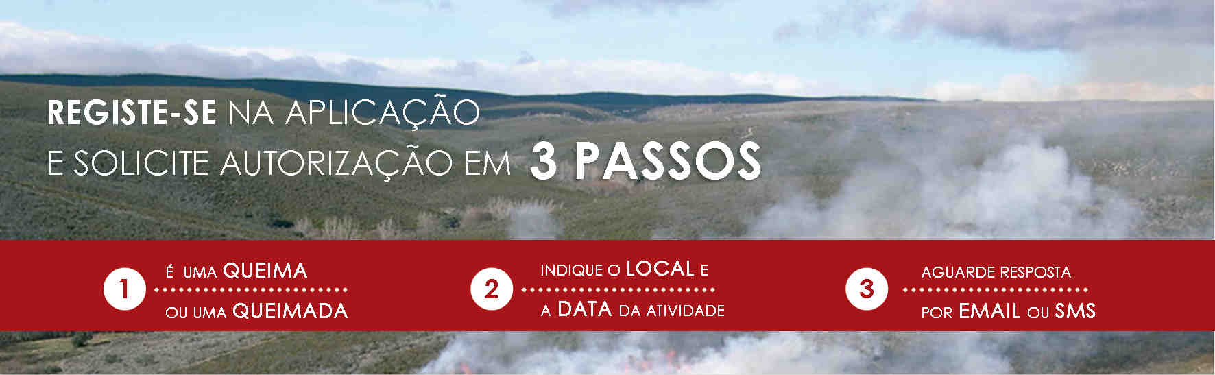 Sistema de Gestão de Informação de Incêndios Rurais - SGIF (Avaliação ...